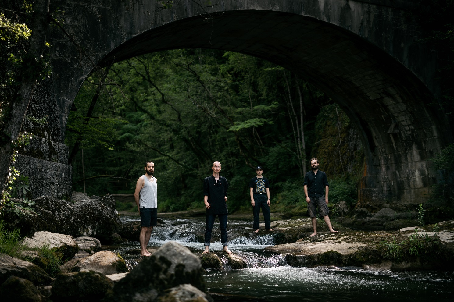 DR HAZE & THE WISE LIZARDZ - Daily Rock